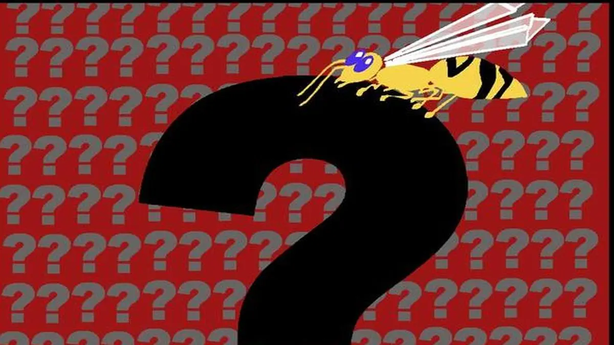 Waspy questions - The HinduBusinessLine