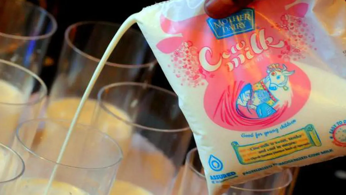 Mother Dairy Launches Cow Milk Dahi The Hindu Businessline