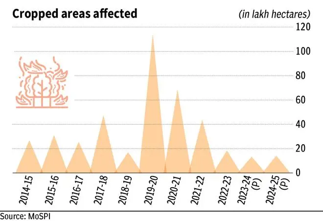 Human lives lost due to natural disasters at a decadal high in FY25 ...