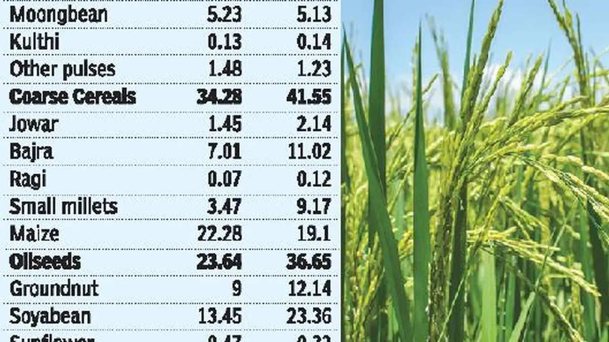 Erratic monsoon affects Kharif sowing - The HinduBusinessLine