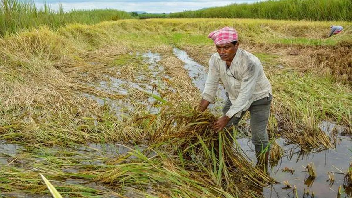 Distressed farmers in Maharashtra demand immediate compensation - The ...