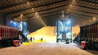 Alang’s ship-breaking yard makes more space for dying ships - The Hindu ...