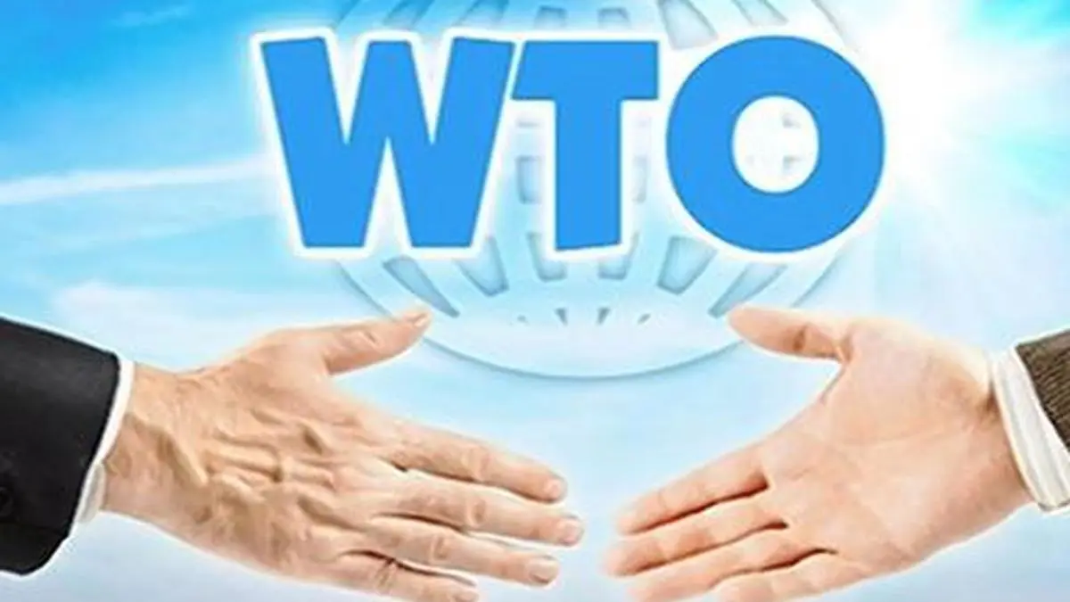 India locks horns with rich nations in WTO ‘green room’ - The ...