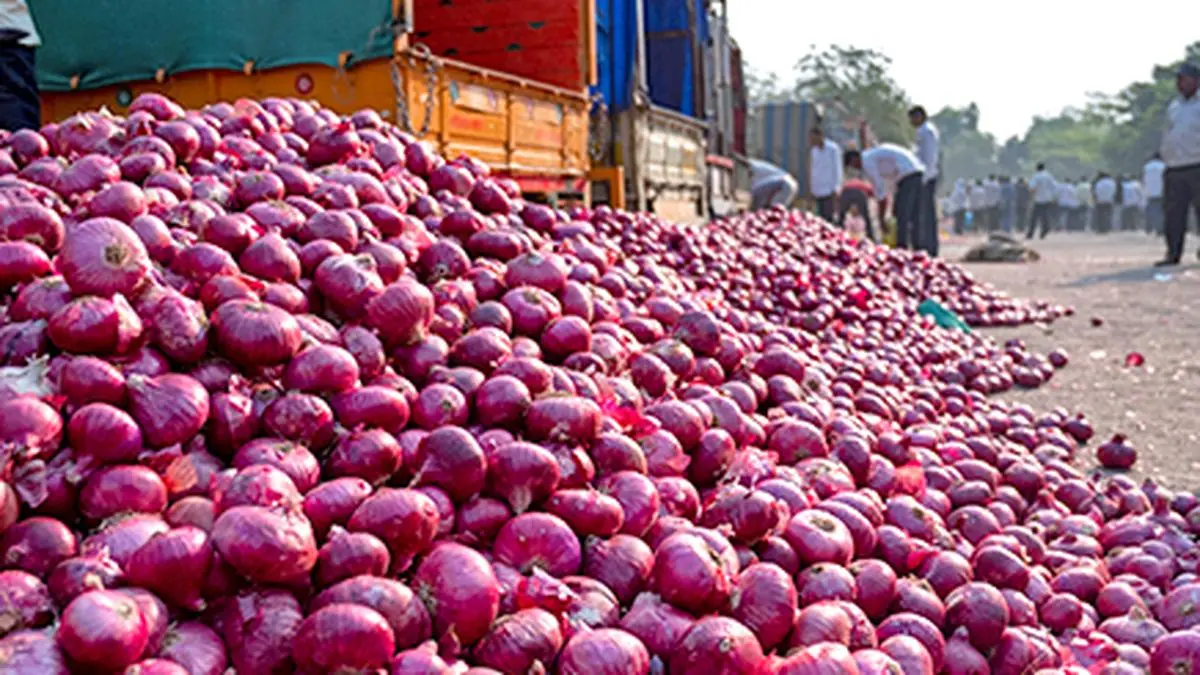 Govt to release buffer stock in wholesale markets to control onion prices - The HinduBusinessLine