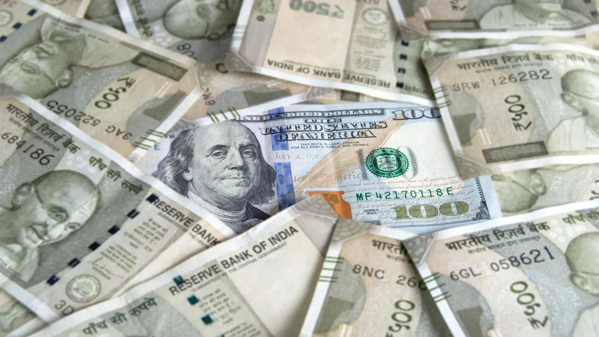 Remittances: A buffer, now under pressure - The HinduBusinessLine