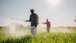 Godrej Agrovet Ltd Share/Stock Price Live Today | The HinduBusinessLine