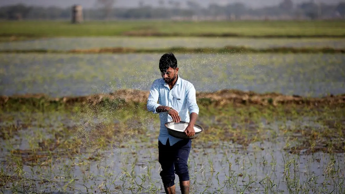 Fertilizer sales up by 5% to 174.4 lakh tonnes in April-July - The ...