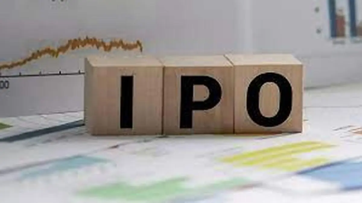 Vishnu Prakash R Punglia IPO subscribed 88 times - The HinduBusinessLine