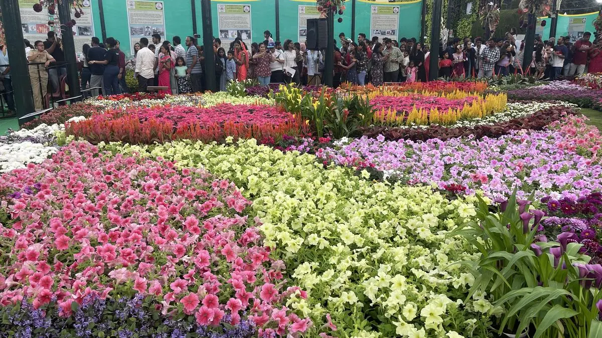 Enhancing farmers’ income through floriculture - The HinduBusinessLine