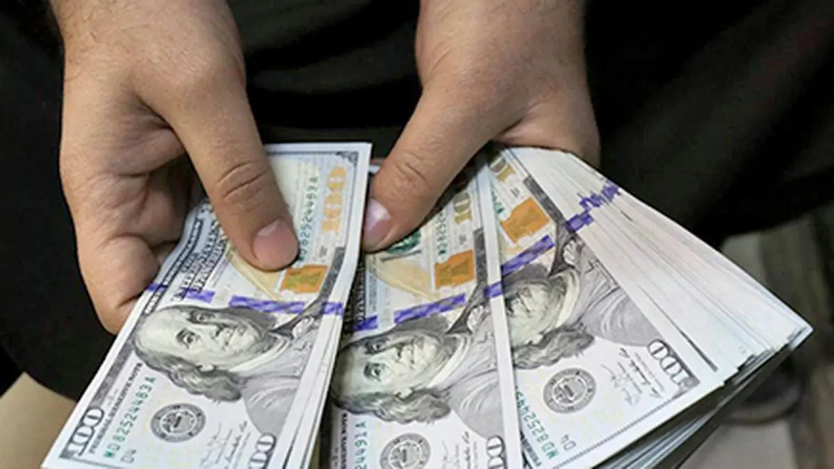 FPIs extend Indian equity sell-off amid ‘Trump Trade’ and lofty valuations - The Hindu BusinessLine