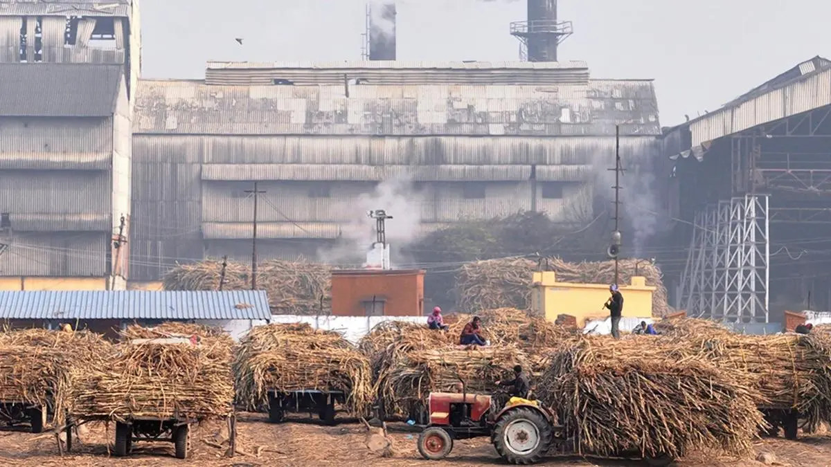 Domestic sugar production till Apr 15 higher at 330 lakh tonnes - The ...