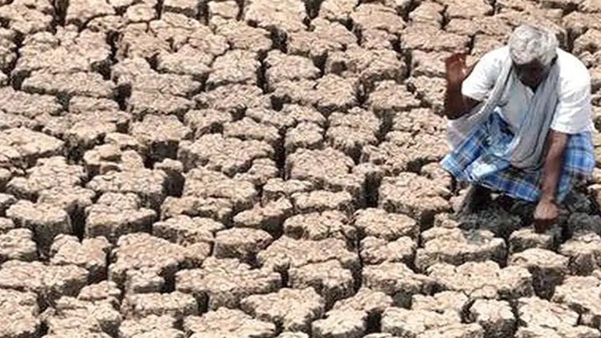 Over 26% of India facing drought, says US weather agency - The ...