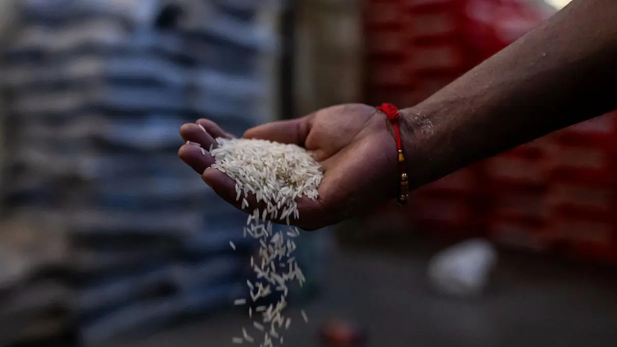 India’s export ban on non-basmati rice questioned at WTO - The HinduBusinessLine