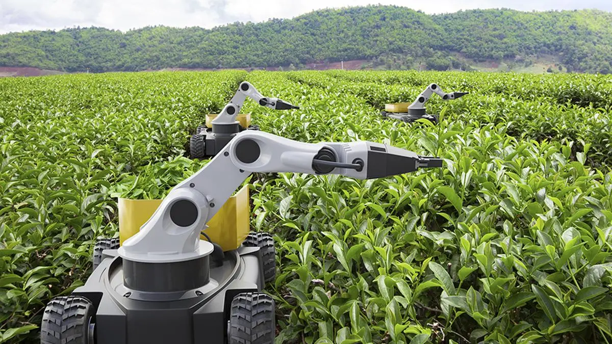 India lags the West in precision farming - The HinduBusinessLine