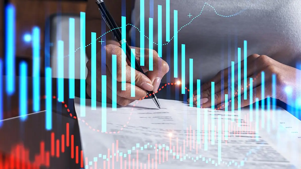 Digital services provider BLS tumbles on 2-year ban from government ...