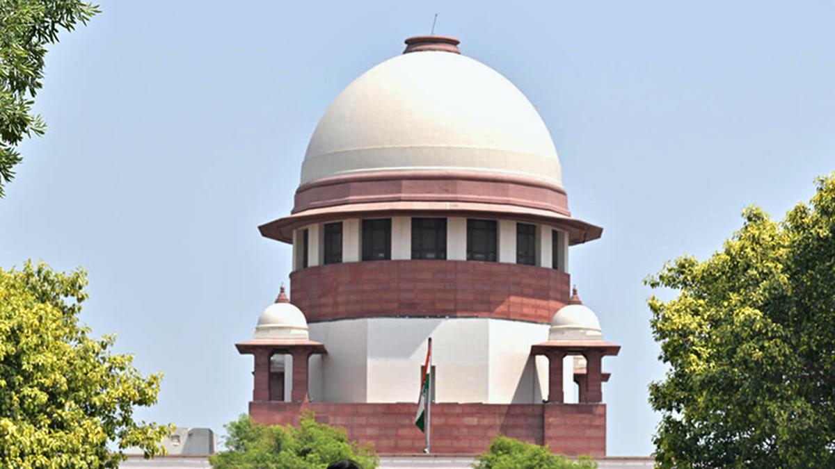 From Coal Transport to Courtroom: Who is Kalyani Transco in the BPSL ...