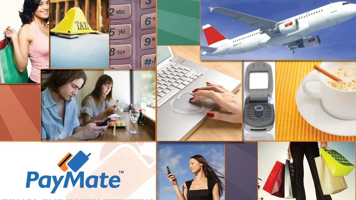 PayMate India files DRHP for ₹1,500-crore IPO - The HinduBusinessLine