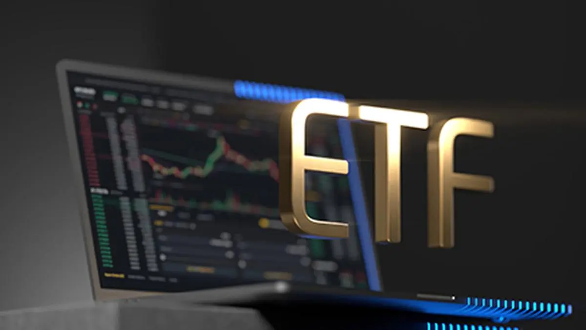 India-centric overseas funds keep the faith amid global uncertainty - The HinduBusinessLine