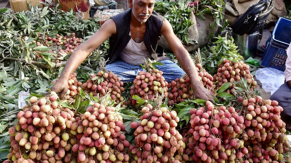 Big ideas for Bihar - The HinduBusinessLine