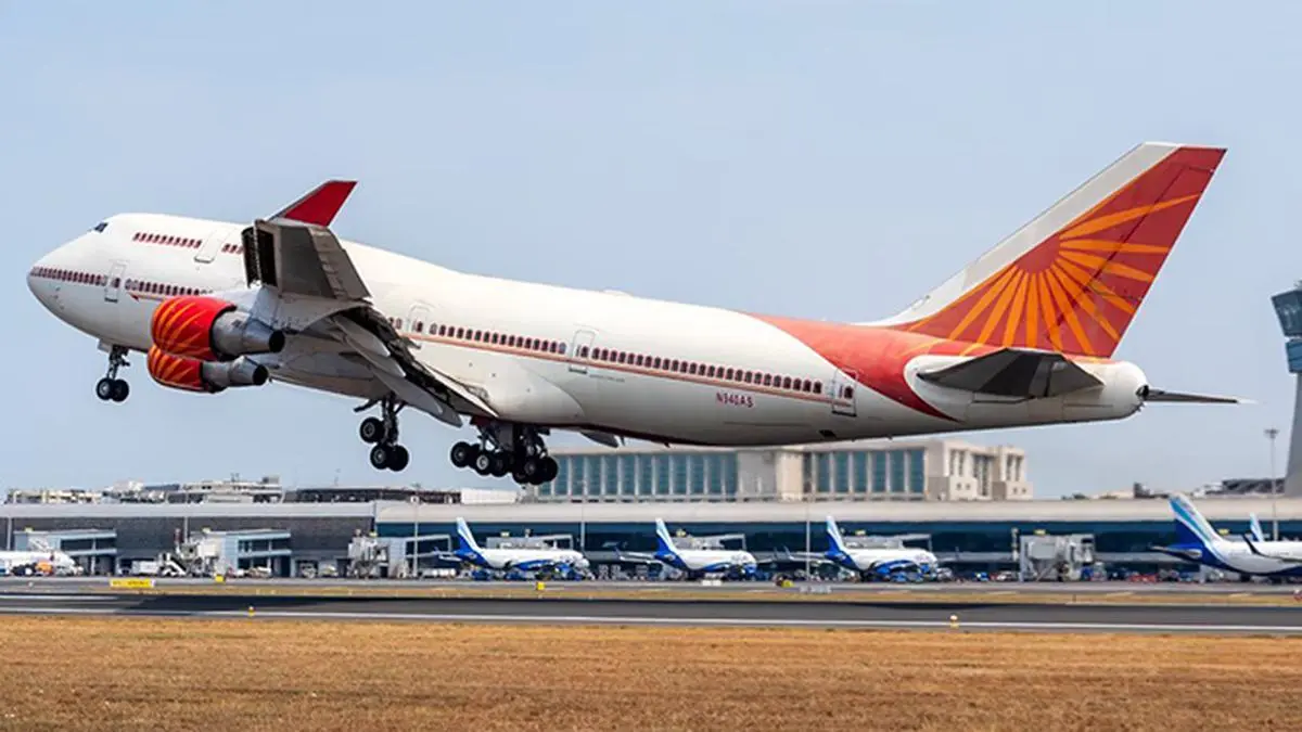 The amazing jumbo - The HinduBusinessLine