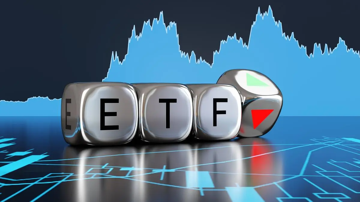 India-focused offshore funds, ETFs draw $6.54 bn in Q3: Morningstar - The HinduBusinessLine