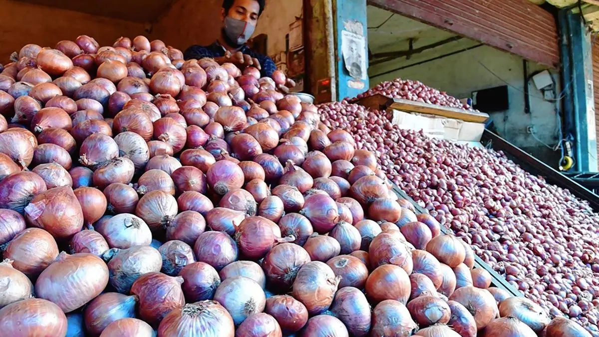 PMO probes ‘irregularities’ in Nafed’s onion procurement - The HinduBusinessLine