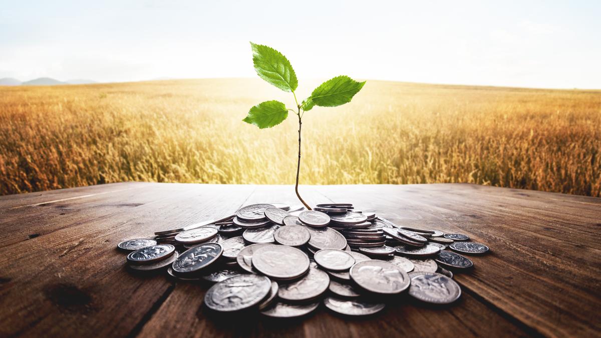 Why fund-raising is a strategic necessity for new businesses - The ...