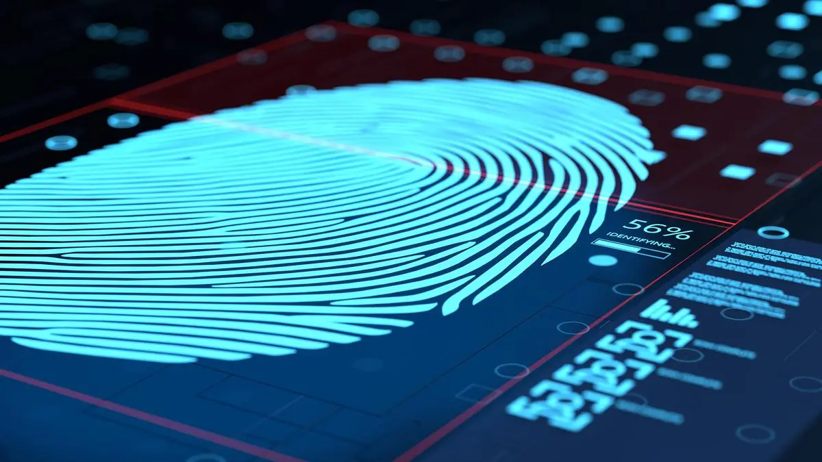 Identification record: Protecting the rights of those under ...