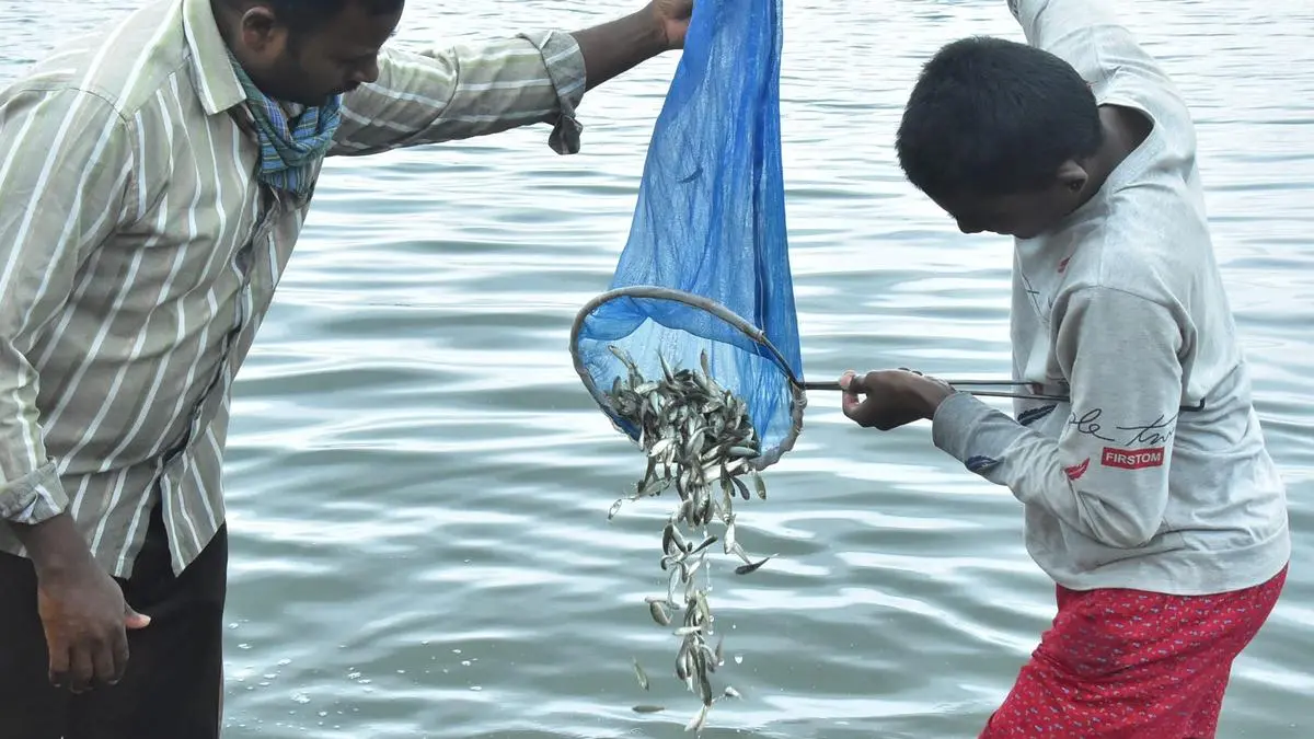 Transforming Bihar through aquaculture - The HinduBusinessLine