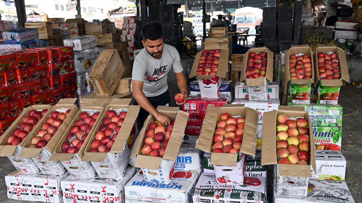 J&K fruit trade needs modernisation, direct market access: NITI Aayog ...