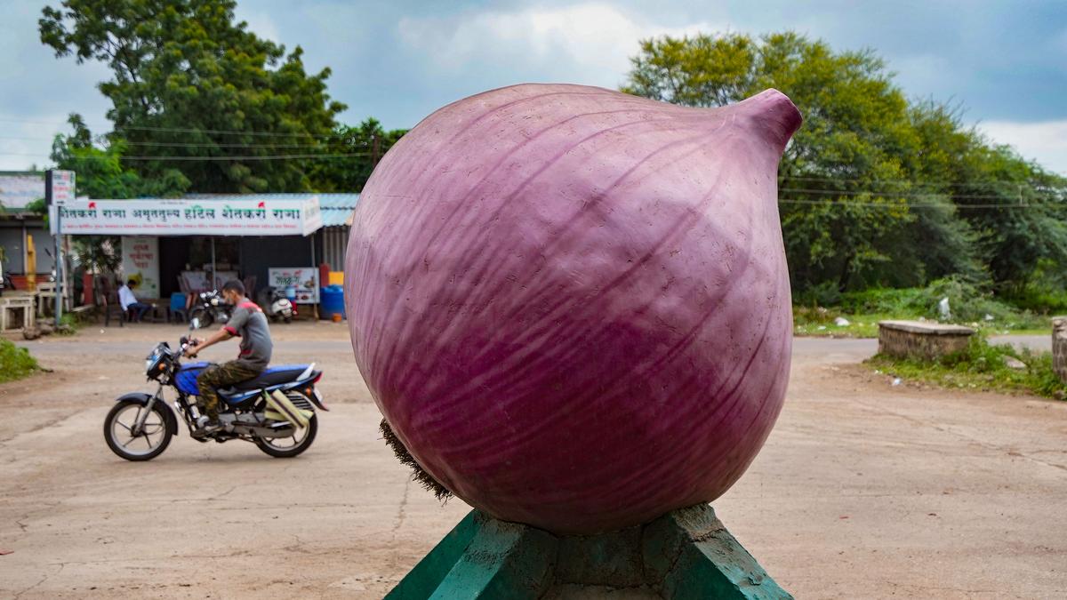 Onion traders continue strike in Nashik - The HinduBusinessLine