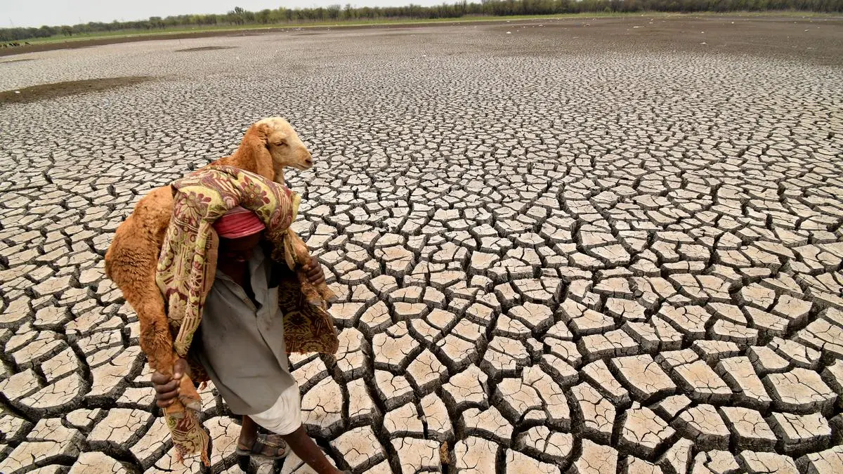 The El Nino effect - The HinduBusinessLine