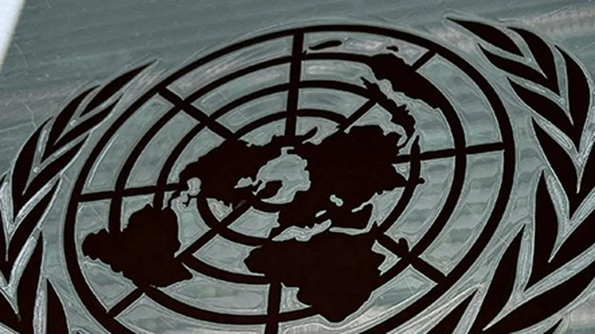 India elected to UN Statistical Commission, other key UN subsidiary bodies - The Hindu BusinessLine