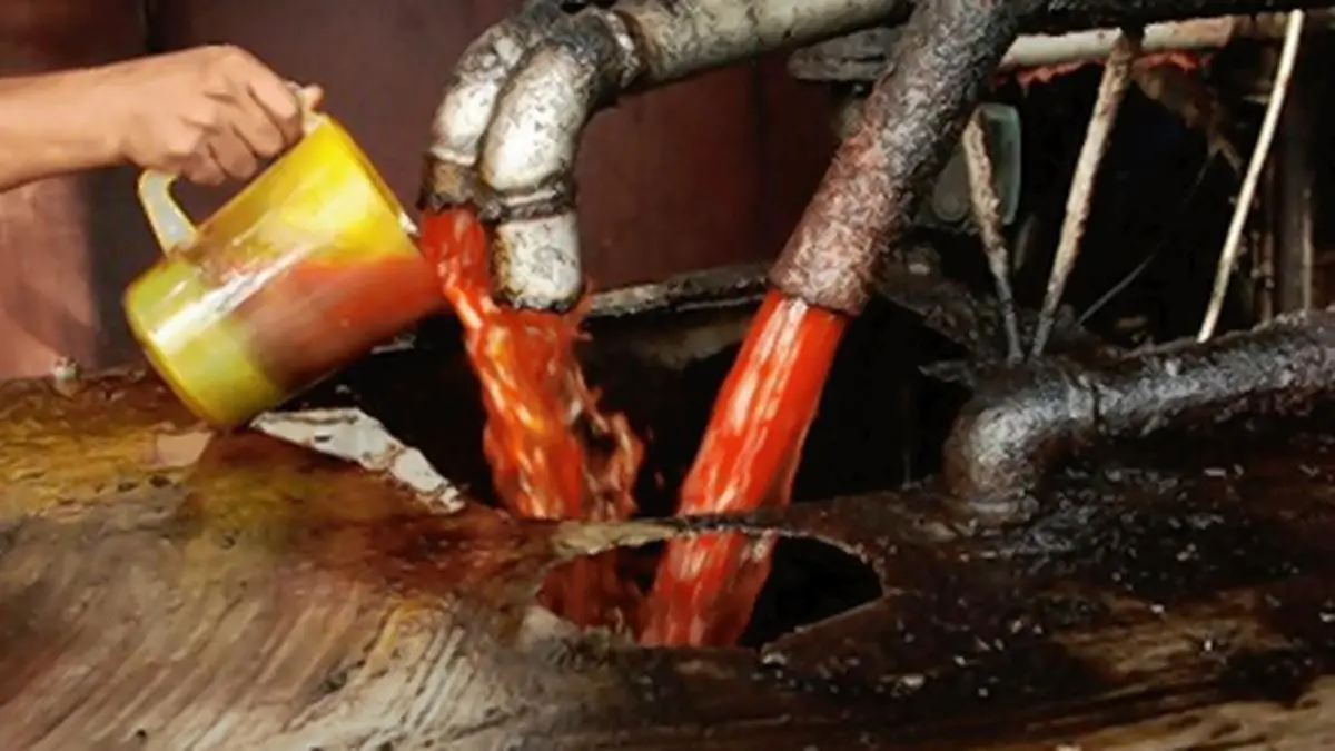 Thailand Comes To Indias Rescue With Crude Palm Oil Exports The