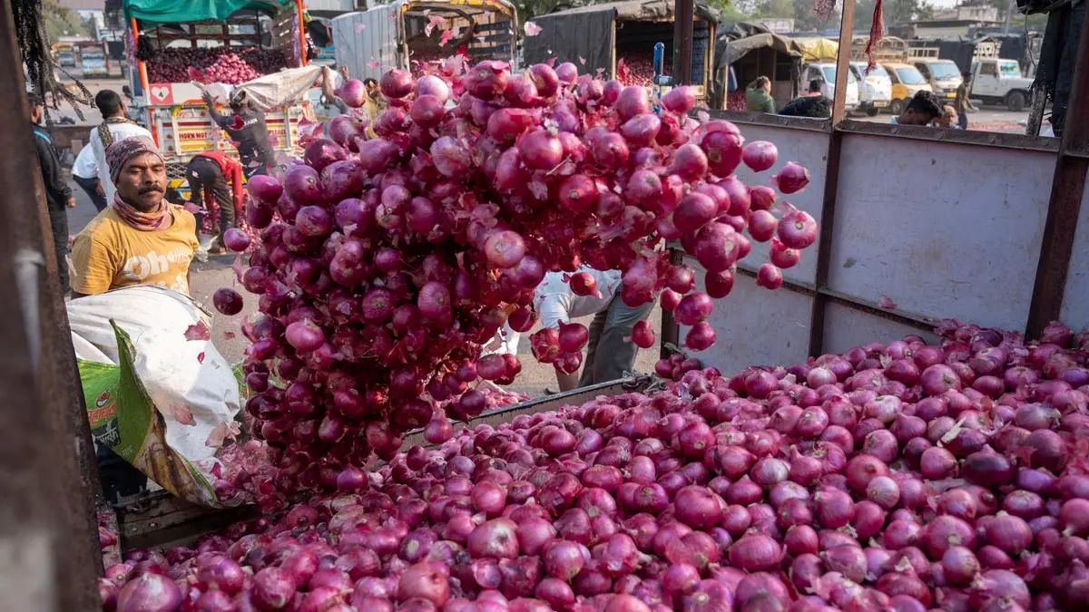 Centre team visits Nashik to assess rain-hit onion crop; farmers warn of 80% loss - The ...
