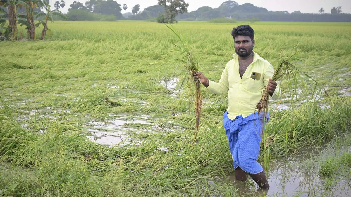 Flood-hit farmers must be adequately compensated - The HinduBusinessLine