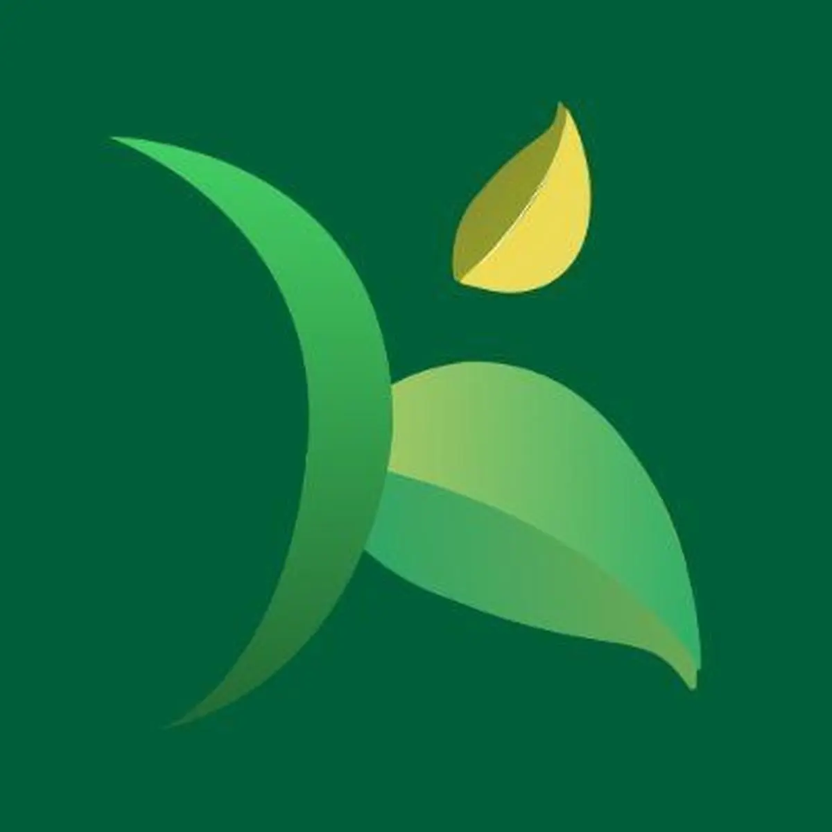 Agtech startup Krishify launches SaaS-based tool ‘business suite’ - The ...