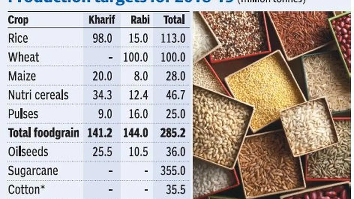 India’s 2018-19 foodgrain target to top 285 mt - The HinduBusinessLine