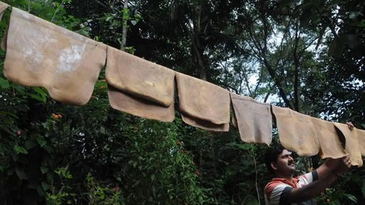 Rubber stays unchanged - The HinduBusinessLine