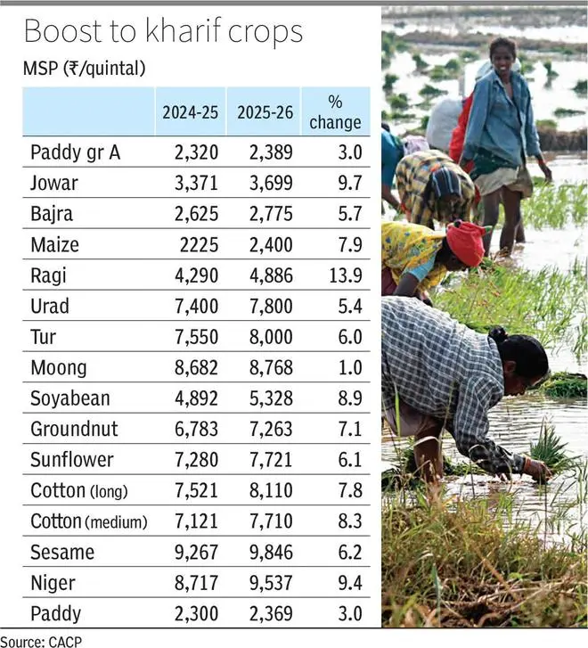 Indian govt hikes minimum support prices for paddy by 3%, other kharif crops by 1-14% - The ...