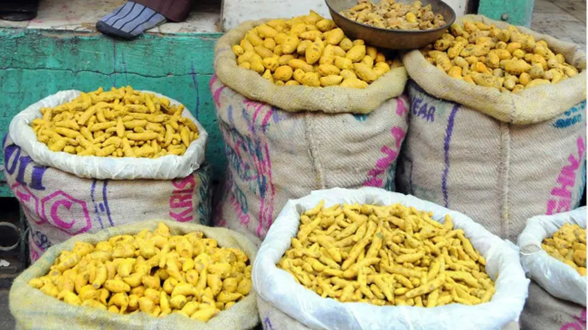 Turmeric prices dip sharply, despite low arrivals - The HinduBusinessLine