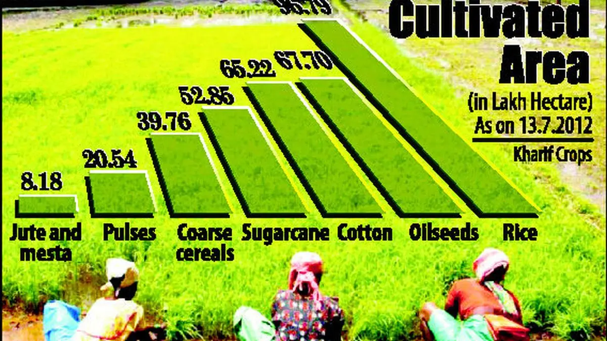 A crucial week ahead for kharif crops - The HinduBusinessLine