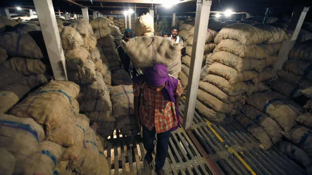 Bengal hikes potato cold storage rentals by Rs 19/quintal - The ...