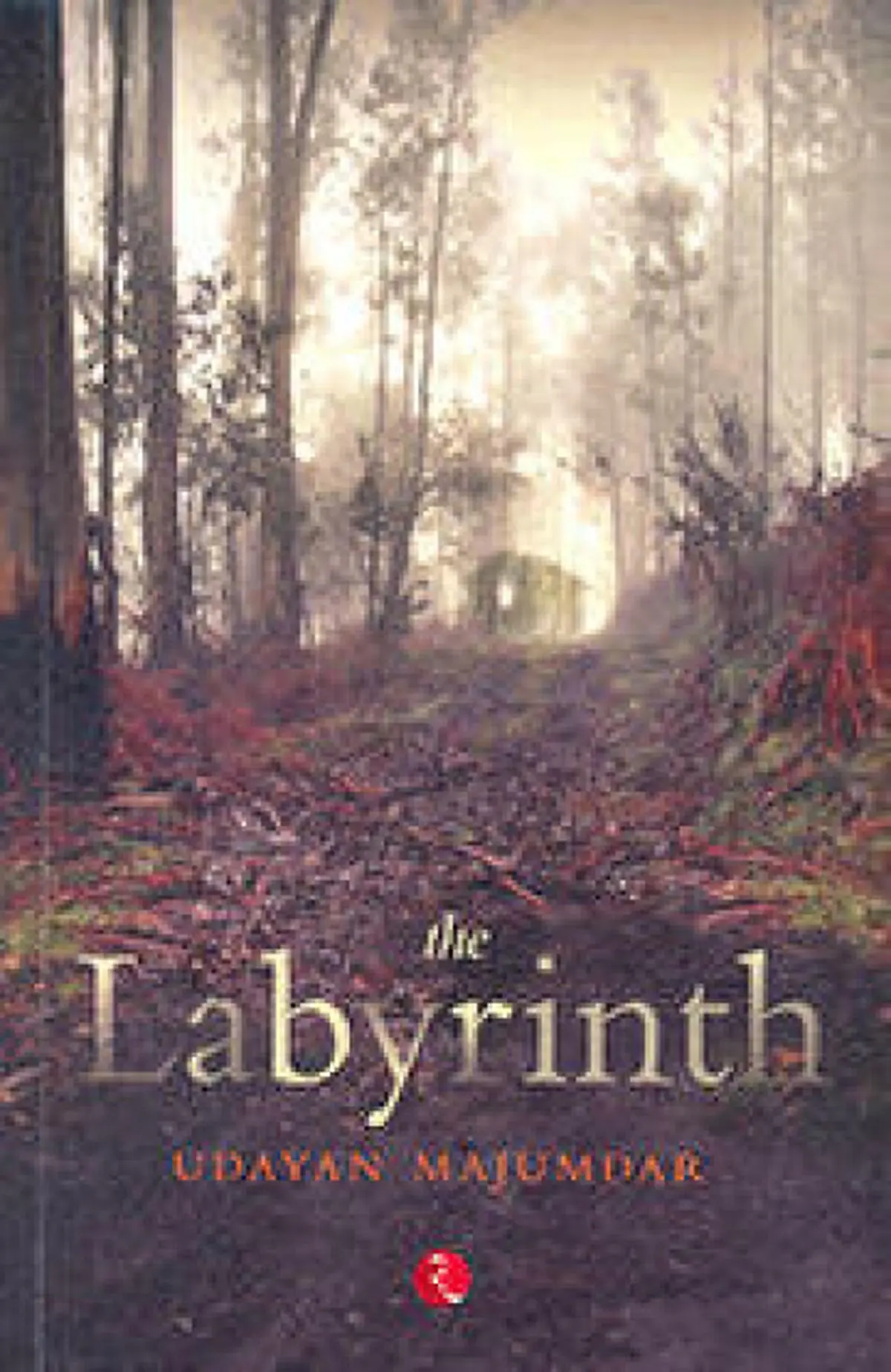 The Labyrinth - The Hindu BusinessLine