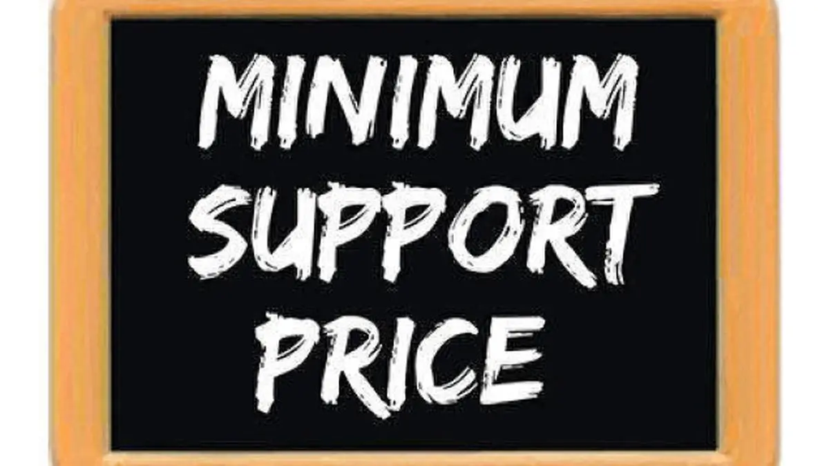 All you wanted to know about Minimum Support Price - The HinduBusinessLine