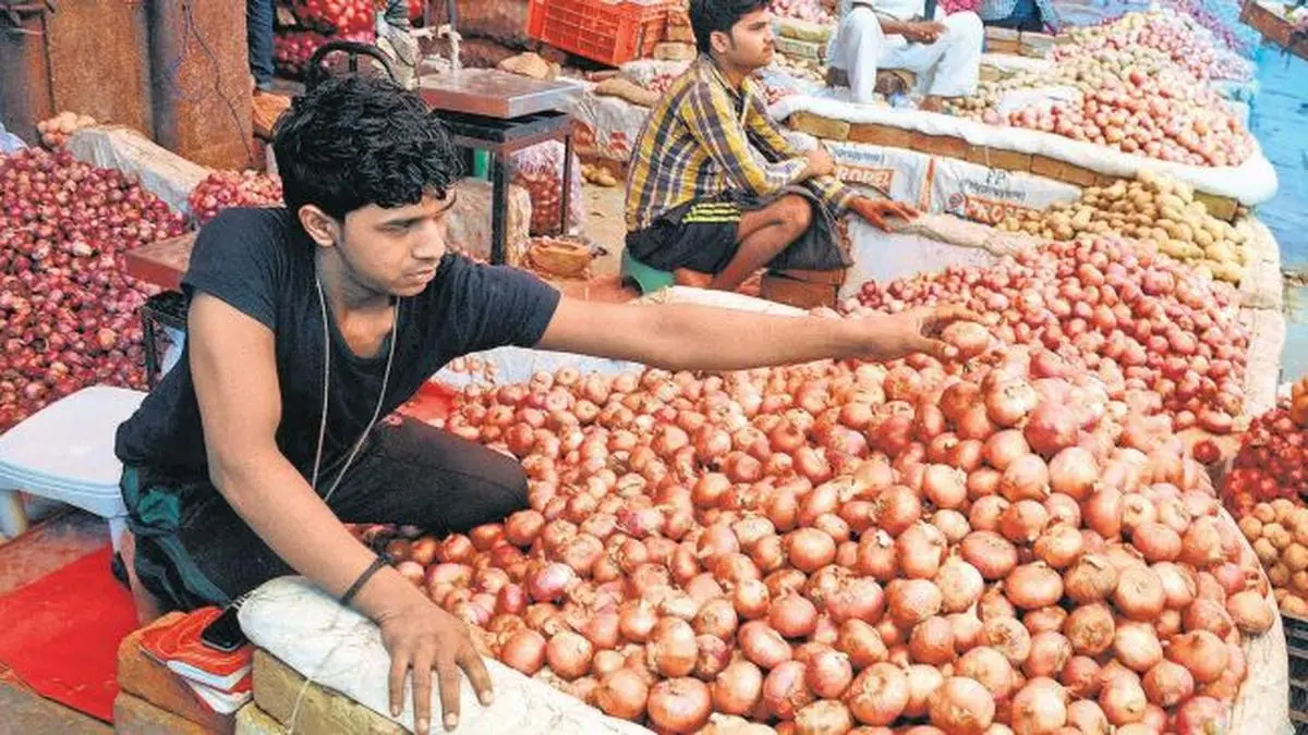 Onion dehydration units now chase domestic consumers - The ...