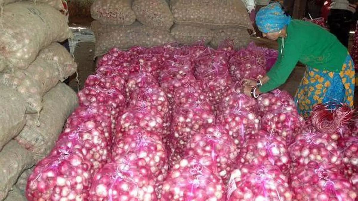 250 tonnes of imported onion reach India - The HinduBusinessLine