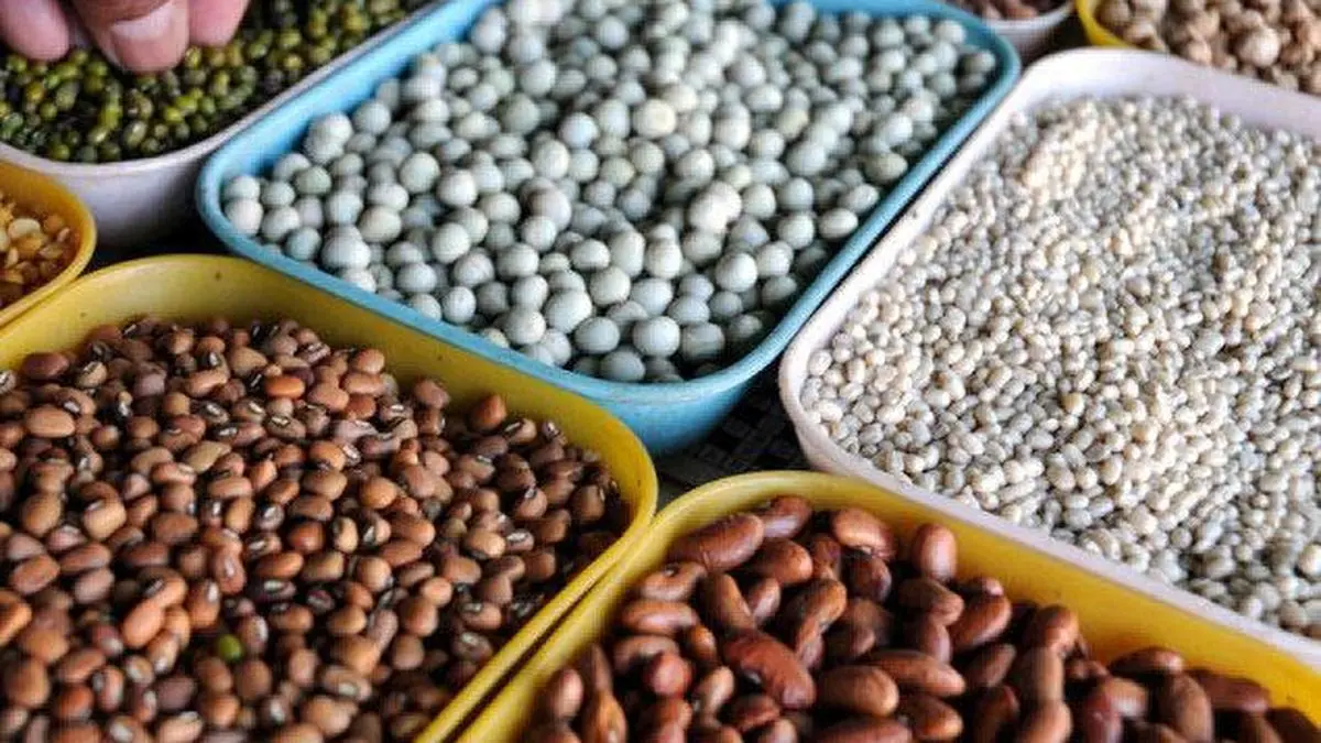 Pulses prices may go up by 10-15%: Assocham - The HinduBusinessLine