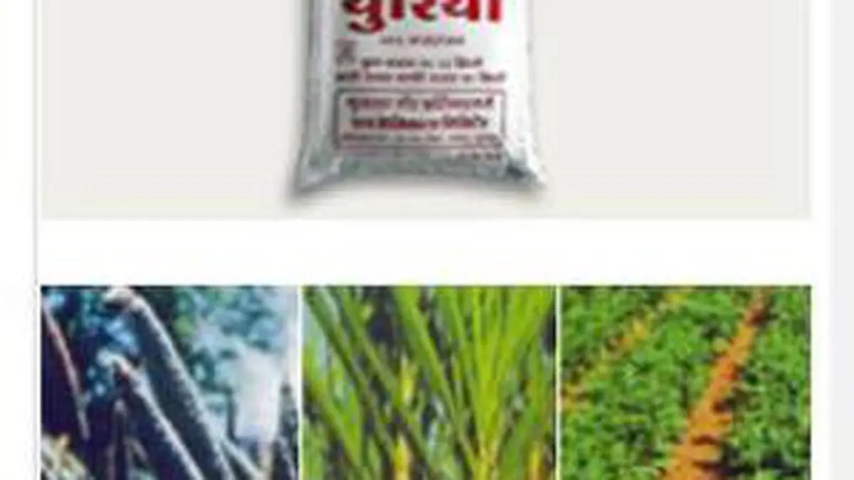 Gsfc Reduces ‘sardar Brand Fertiliser Prices The Hindu Businessline