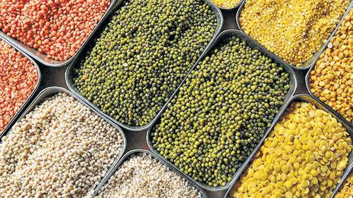 Charting a 5-point plan for pulses market - The HinduBusinessLine